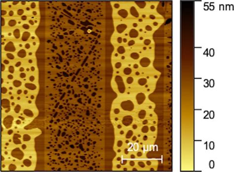 Polymers In Nanoscale Art Of Science Csep Uc Santa Barbara