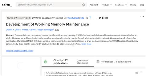 Development Of Working Memory Maintenance