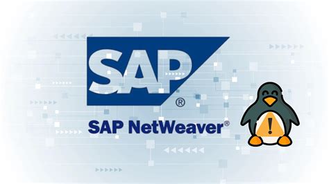 Hackers Exploiting Sap Netweaver Vulnerability To Deploy Auto Color