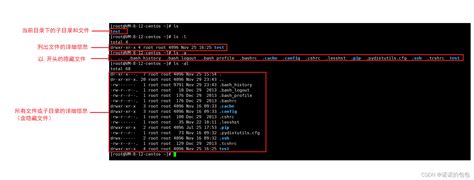 Linux一文掌握Linux基本命令上 阿里云开发者社区