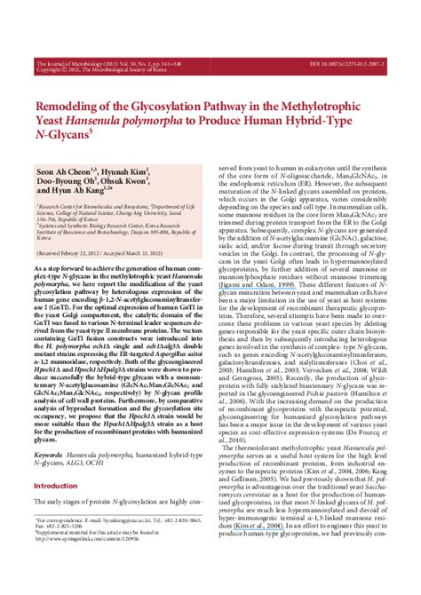 Pdf Remodeling Of The Glycosylation Pathway In The Methylotrophic Yeast Hansenula Polymorpha