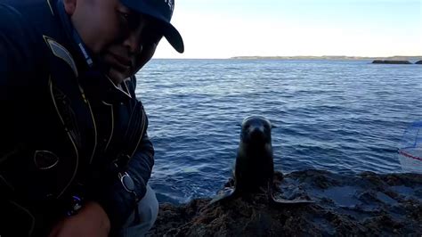 잡은 물고기 다 뺏긴 아저씨 연예이슈 수다방 네모판