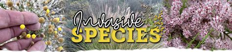 Invasive Species Arizona State Parks