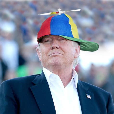 Because Trump In A Propeller Hat Blank Template Imgflip