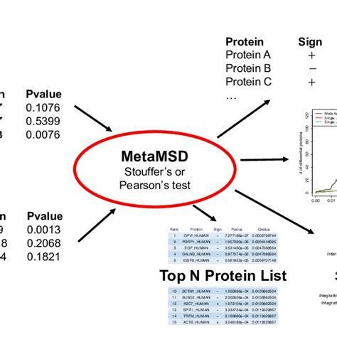 Multiple Reaction Monitoring Mass Spectrometry Mrm Ms A Schematic Of Download Scientific