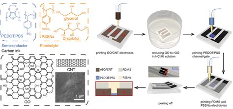 Schematic Of The Oect Fabrication Process And The Materials Employed