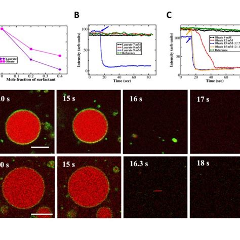 A Bending Modulus Calculated From Md Simulations For Different Im Download Scientific