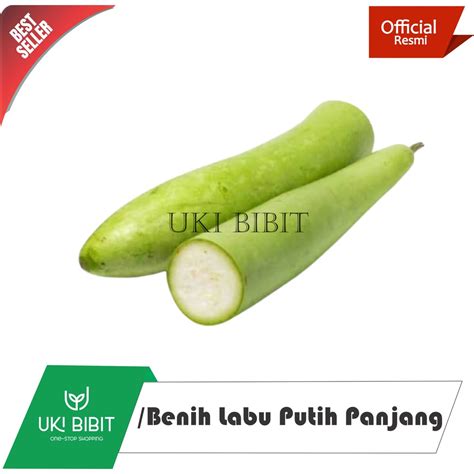 Jual 5 Butir Benih Biji Labu Putih Panjang Blonceng Labu Air