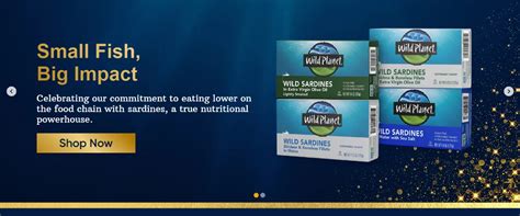 11 Inspiring Slider Examples For Your Next Website Divi Extended