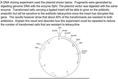 Solved A Dna Cloning Experiment Used The Plasmid Shown Below Fragments Were Generated By