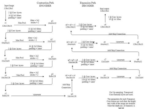 UNet Convolution Architecture The Model Is Trained Over A Batch Of 87 Download Scientific
