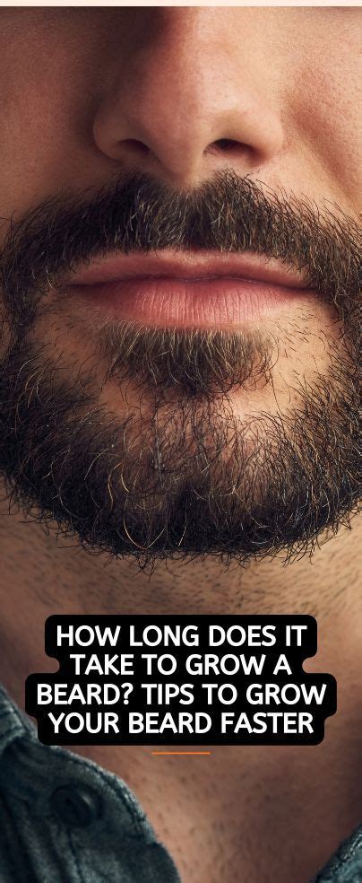 How Long Does It Take To Grow A Beard Grow Your Beard Faster Artofit