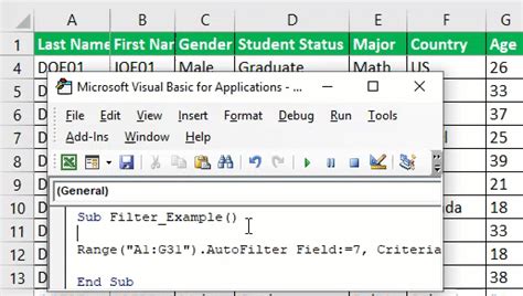 How To Apply And Delete Filter From Data Using Vba
