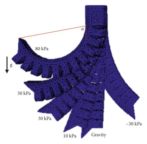 Results Of The Finite Element Analysis A The Deformation Of The Download Scientific Diagram