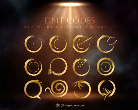 what are dmt codes