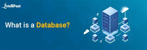 What Is Database Types Examples And Advantages