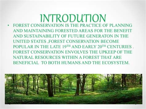 Forest Conservation Ppt