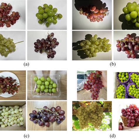 Schematic Diagram Of The Main Building Block Of Mobilenet V3 Download Scientific Diagram