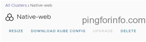 how to validate tkgm cluster pingforinfo