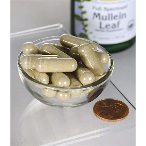 Full Spectrum Mullein Leaf Swanson Health Products Europe