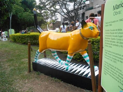 Esculturas De Colombia Las Gatas Del Río Cámara De Comercio De Cali