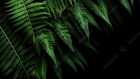 Best Large Leaf Powerpoint Background For Presentation