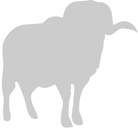 Sheep 36633842 Vector Art At Vecteezy
