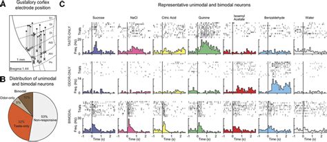 Gc Exhibits Unimodal And Bimodal Responses To Gustatory And Olfactory