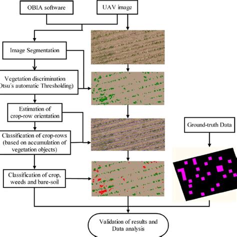 Flowchart Of The Obia Procedure For Classification Of Crop Weeds And Download Scientific