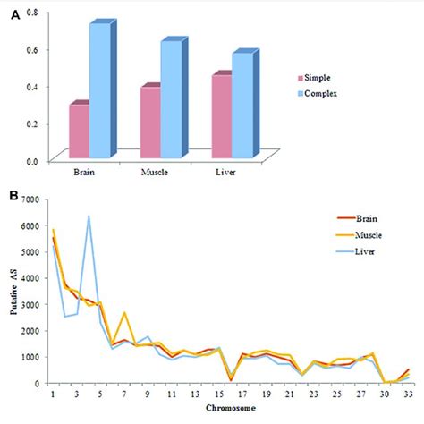 Basic Information Of Alternative Splicing Events In Each Tissue A Download Scientific