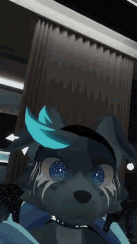 Furry Fox Confetti Yiff 