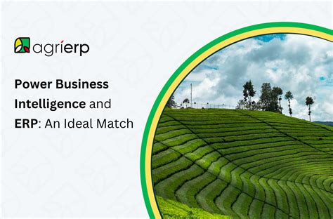Power Business Intelligence And Erp An Ideal Match