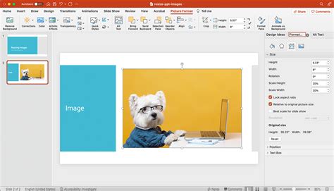 2 minute tips resize images in powerpoint the right way leslie