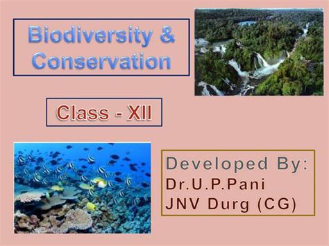 Ppt Of Biodiversity Ppt