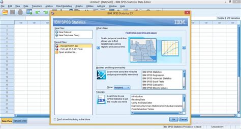 Statistical Package For The Social Sciences 23 Civil Engineers Pk