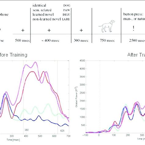 A Time Course And Conditions Of The Cross Modal Semantic Priming Download Scientific Diagram