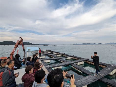 Things To Do Jeolla South Koreas Newest Tourist Hotspot After Youve Visited Busan Seoul And