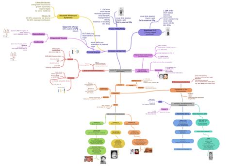 Lecture 47 Genetics I Chromosomal Abnormalities Screen Shot 2020 09 14