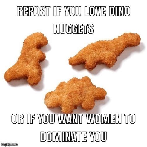 Dino Nuggets Are Stupid Imgflip