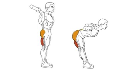 Бицепс бедра Лучшие упражнения для развития мышц бедра