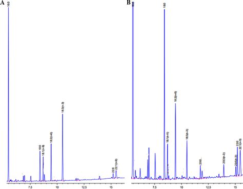 Fatty Acid Analysis Of Wild Type And Epa Transgenic Lines By Gas
