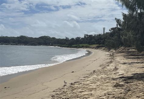 Mooloolah River Dredging To Restore Cyclone Affected Areas Dredging Today