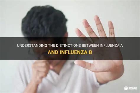 Understanding The Distinctions Between Influenza A And Influenza B MedShun