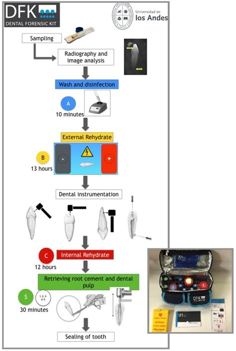Next Generation Sequencing Workflow For Severely Degraded Dna