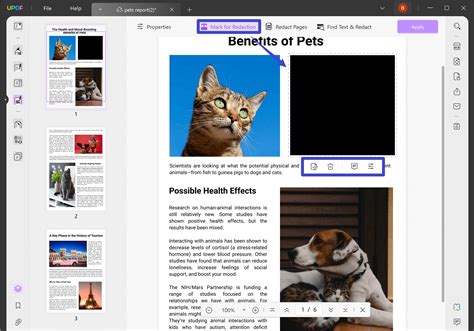 Password Protect Or Redact PDF With UPDF Windows User Guide
