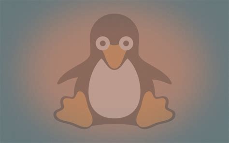 Linux Penguins 1080p Logo Tux Hd Wallpaper