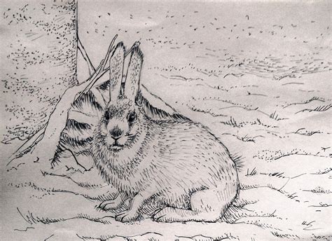 Rabit Алексей Горишний Humanoid sketch Artwork Draw