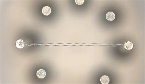 Micro Assembly Technology｜mitsuwa Micro Technologies