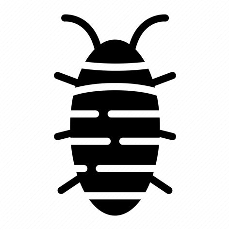 Cockroach Entomology Animal Insect Animals Icon Download On Iconfinder Cockroach Entomology Animal Insect Animals Icon Download On Iconfinder