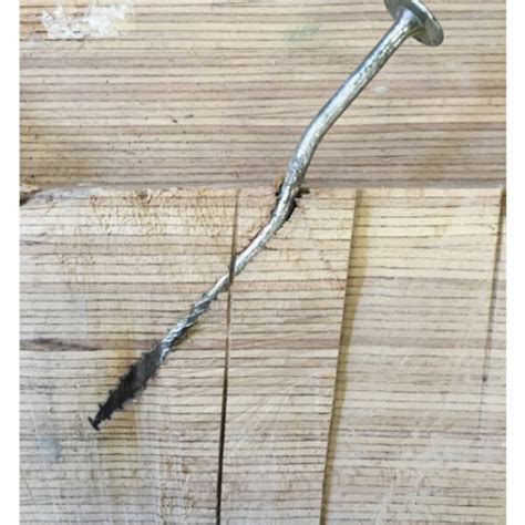 Plastic Deformation Of Inclined Screws In Timber Concrete Composite Download Scientific Diagram